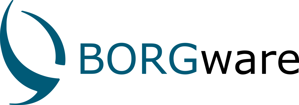 Software Consulting Services and IT Solutions - Borgware